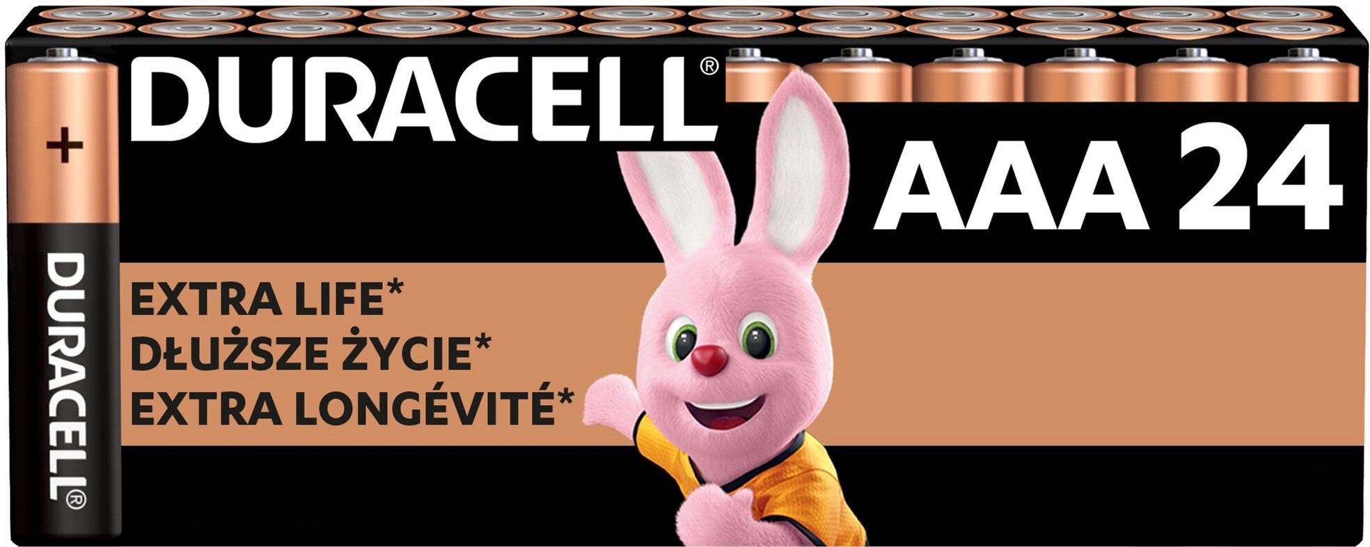 ᐉ Батарейка Duracell Basic AAA 24 шт. купить по цене по запросу грн. в ...
