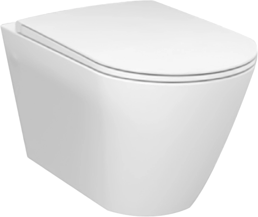 ᐉ Унітаз підвісний Rak Ceramics Resort RST23AWHA, RESC0004 безободковий ...